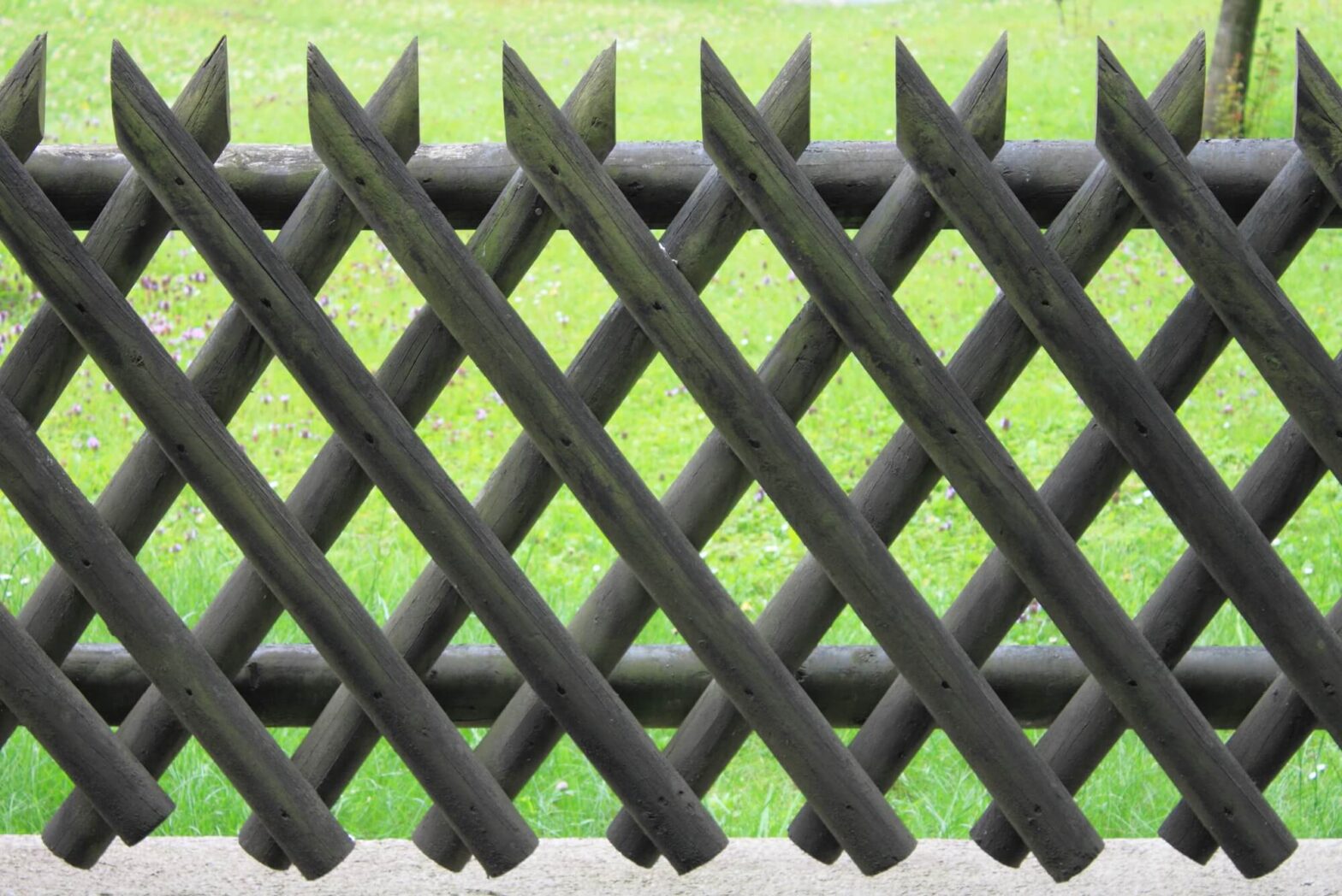 Premium Lattice Wood Fencing in New Orleans | Zuppardos Fences